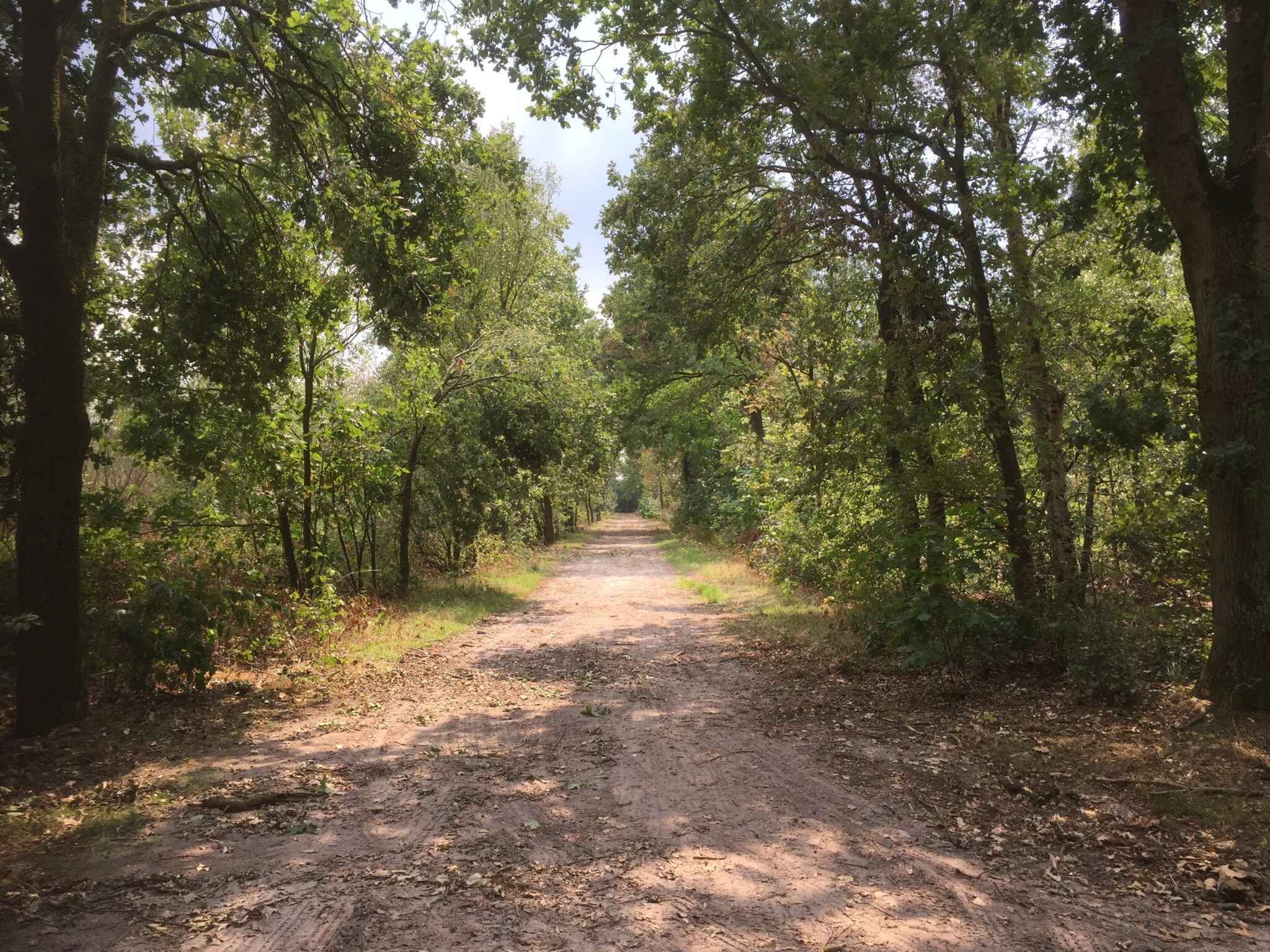 Westen - Rucphense Bossen - West Brabantse Vogelwerkgroep